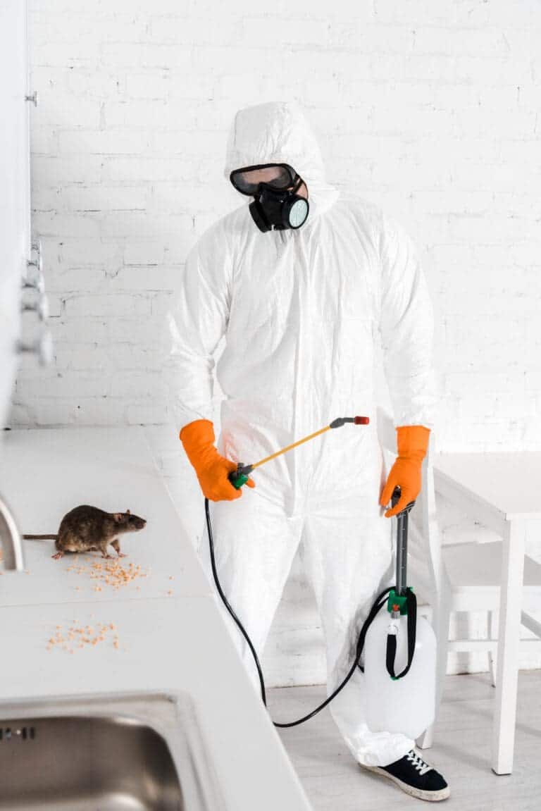 Pest Control Slough | Pest Exterminators - Pest Dominion Limited