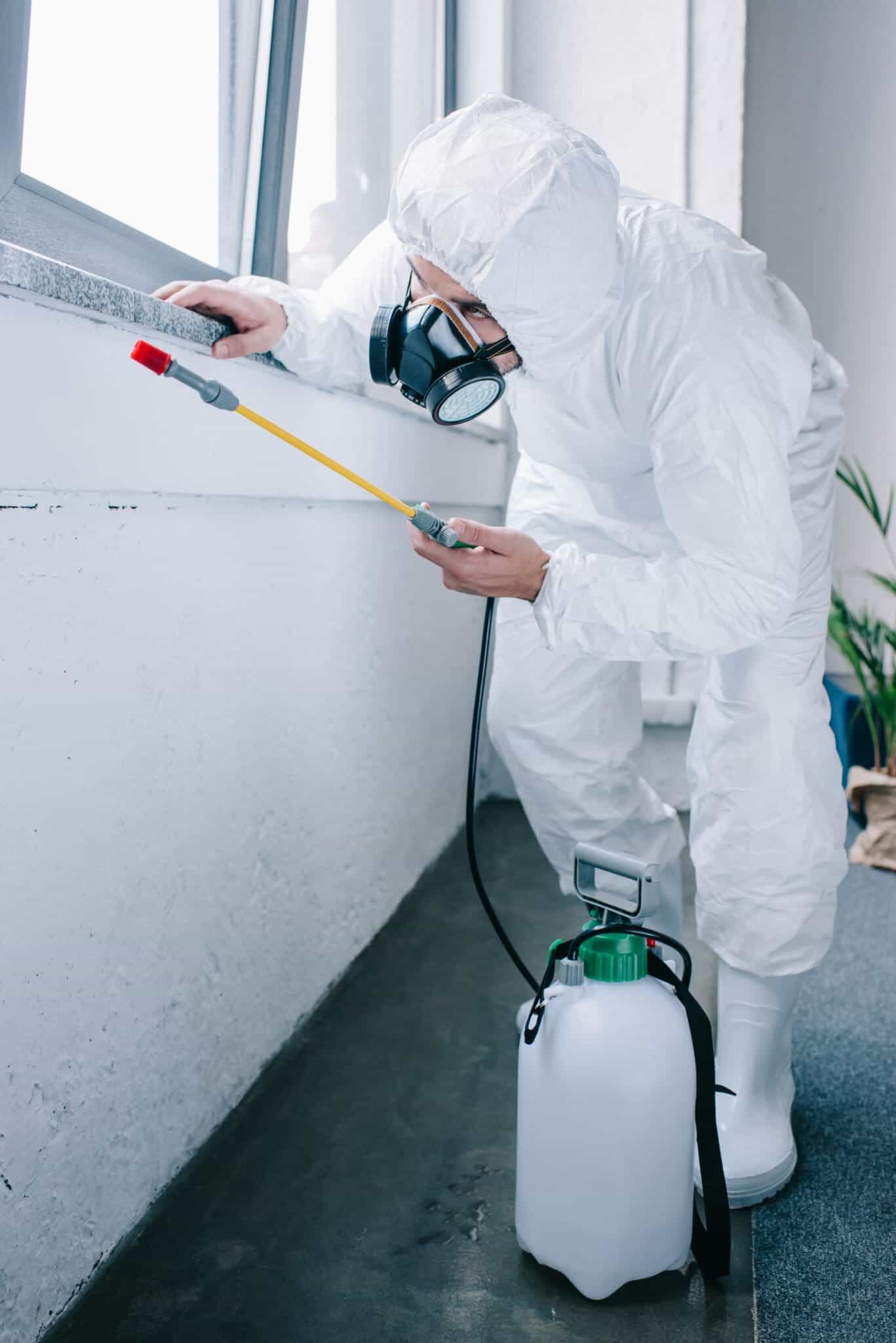 Pest Control Slough | Pest Exterminators - Pest Dominion Limited
