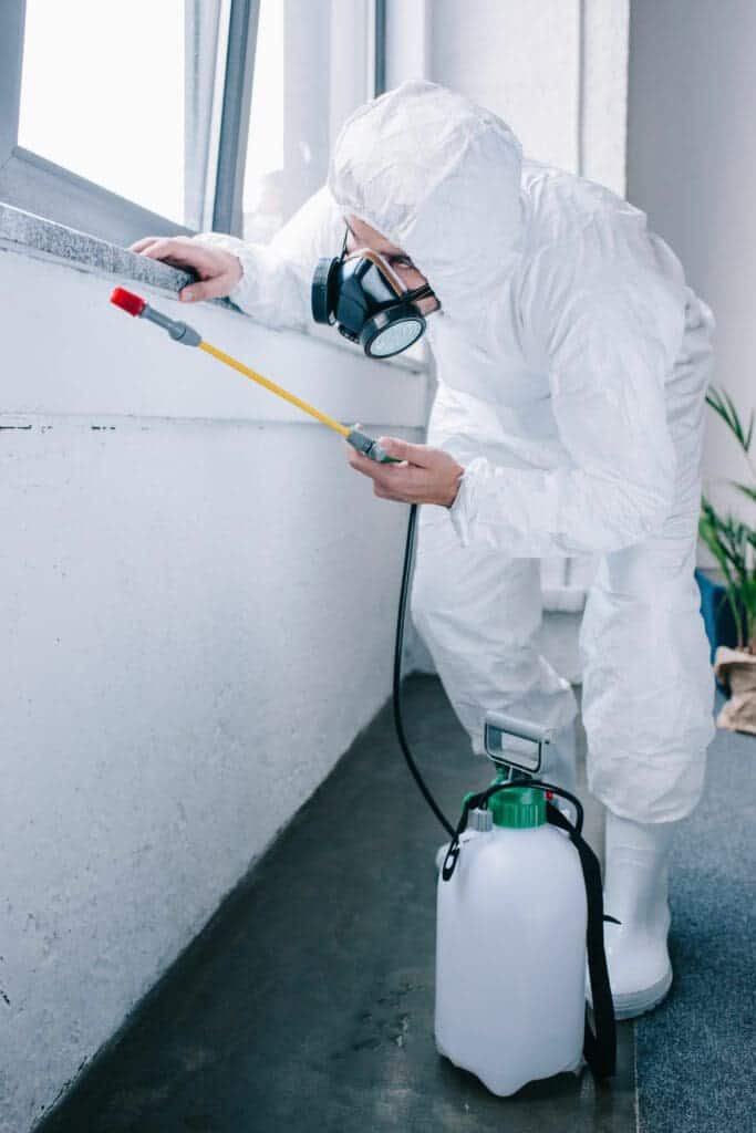 Pest Control Slough | Pest Exterminators - Pest Dominion Limited